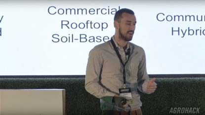 Out of Chaos Comes Order